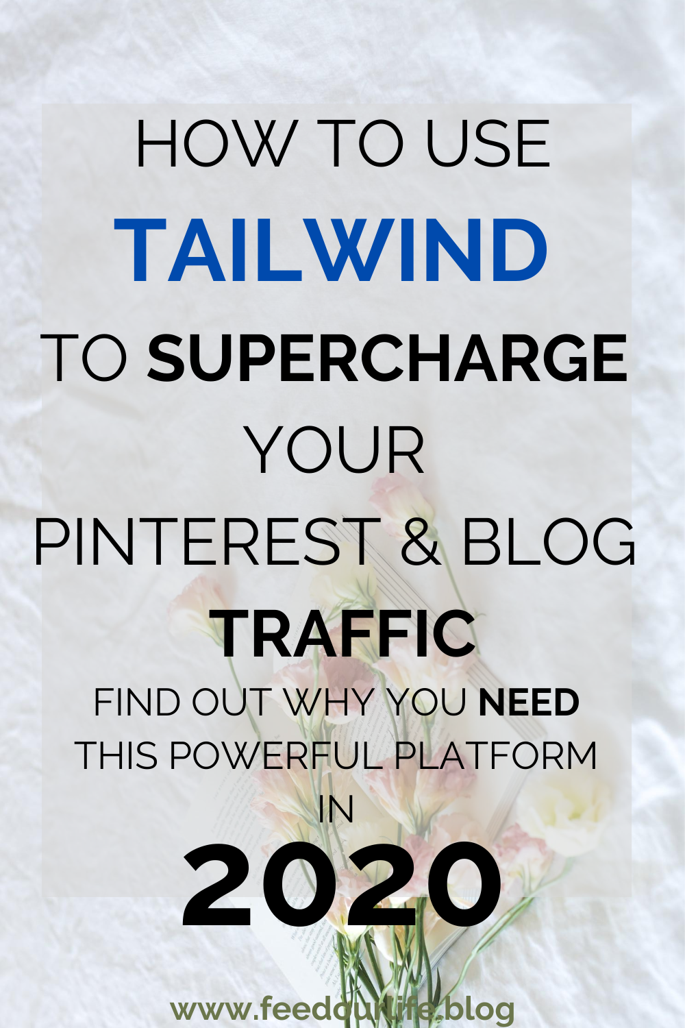 How to increase your traffic with Tailwind – Feed Our Life