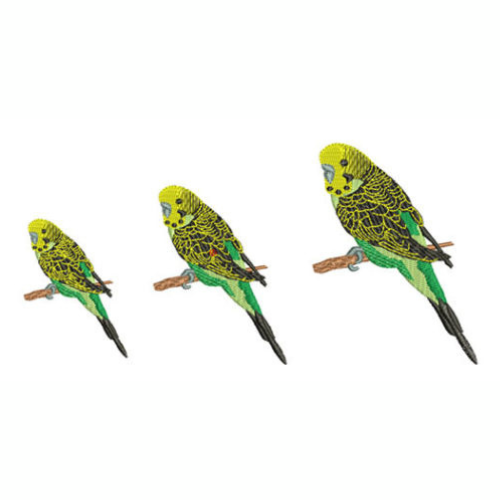 Free Budgie Bird Embroidery Design – Feed Our Life